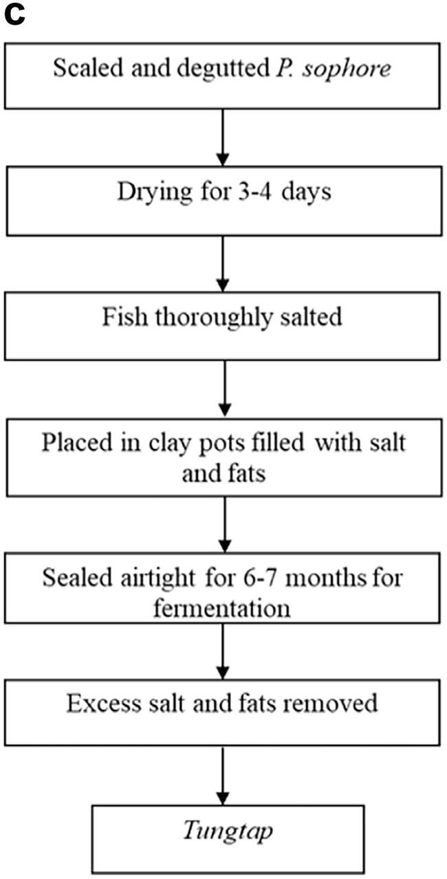 An Important Ingredient of Traditional Fermented Fish in Northeast ...