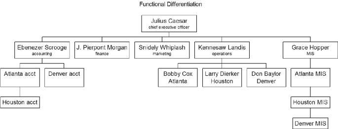 Project Organization | SpringerLink