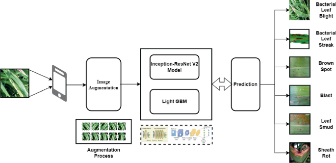 Smart Application for Early Detection of Rice Plant Disease Using ...