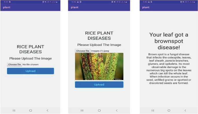Smart Application for Early Detection of Rice Plant Disease Using ...