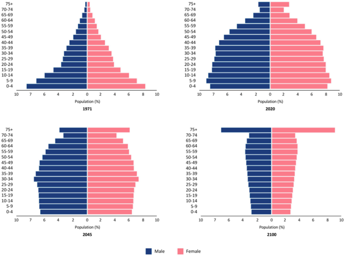 Population Ageing in Indonesia | Springer Nature Link