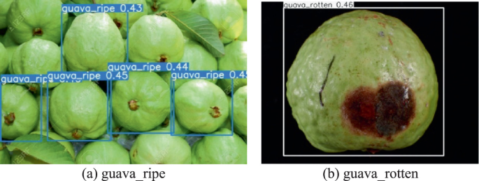 Comparative Analysis of Image Processing Object Detection Models: SSD MobileNet and YOLO for ...