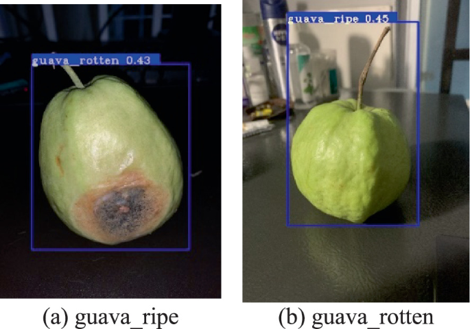 Comparative Analysis Of Image Processing Object Detection Models Ssd