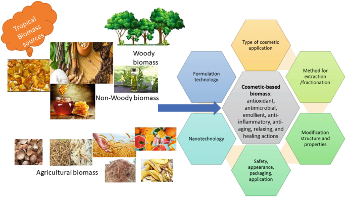 Potential of Tropical Biomass for the Bioactive Ingredients in ...