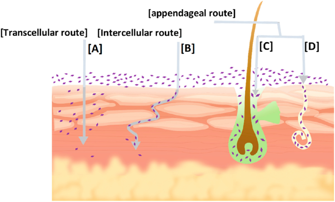 Nanotechnology Roles in Cosmetics | SpringerLink