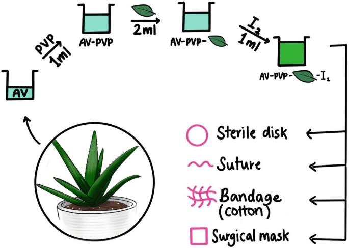 Iodinated Aloe Vera Formulations for Antimicrobial and Cosmeceutical ...