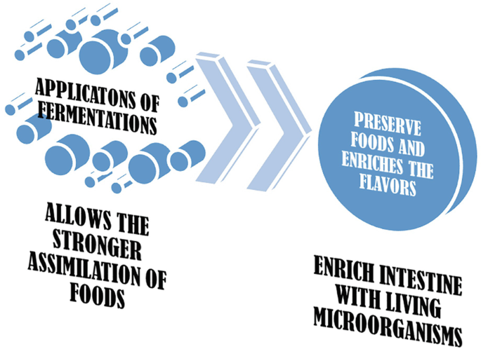 Significance of Various Aspects of Food Microbiology, Fermentation, and ...
