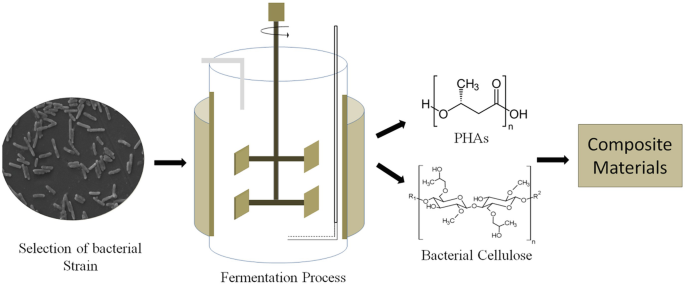Biomaterial Development Using Microbial Products and Its Utilization in ...