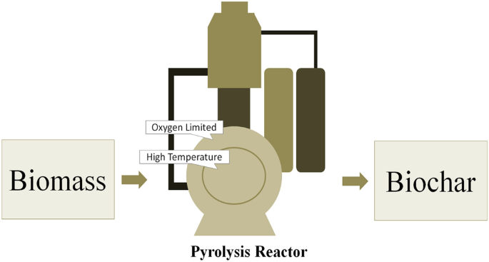 Biomaterial Development Using Microbial Products and Its Utilization in ...