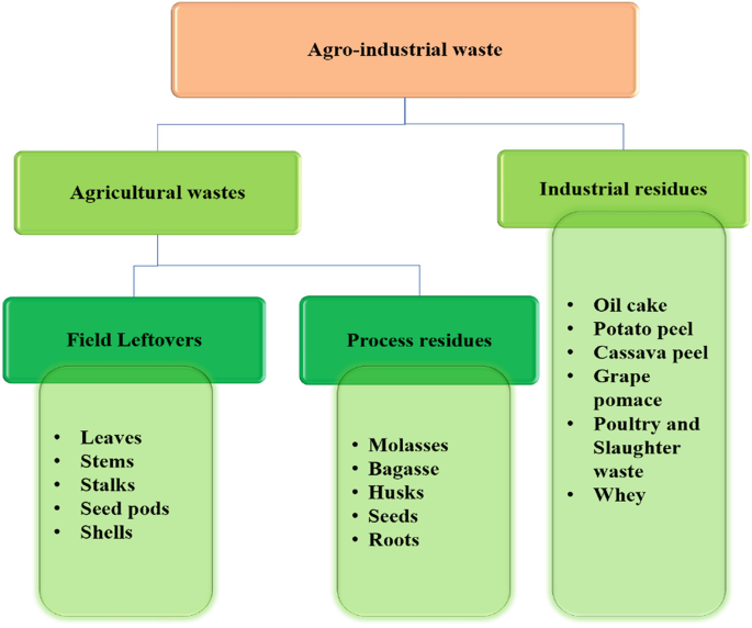 Microbe-assisted Agro-industrial Waste Valorisation for Green Energy ...