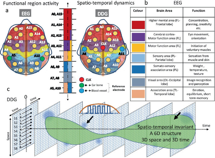 Inventing the Potential of a High-Frequency EEG, Namely Dodecanogram ...
