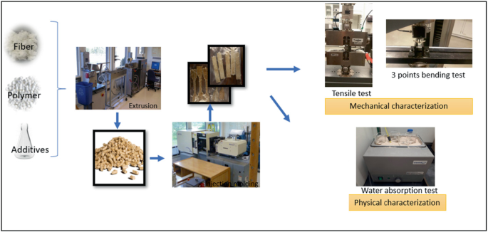 Properties of Pulp Fibers’ Biocomposites | SpringerLink