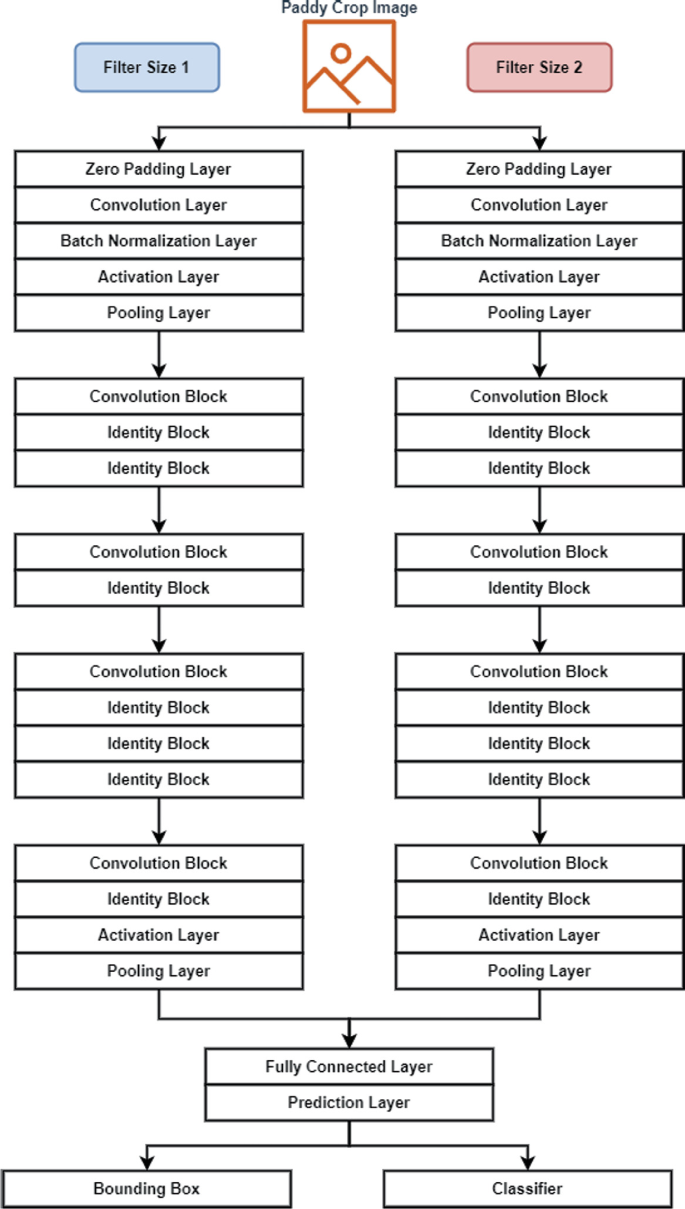 Parallel Deep Convolution Neural Network (P-DCNN) Prediction of Paddy ...