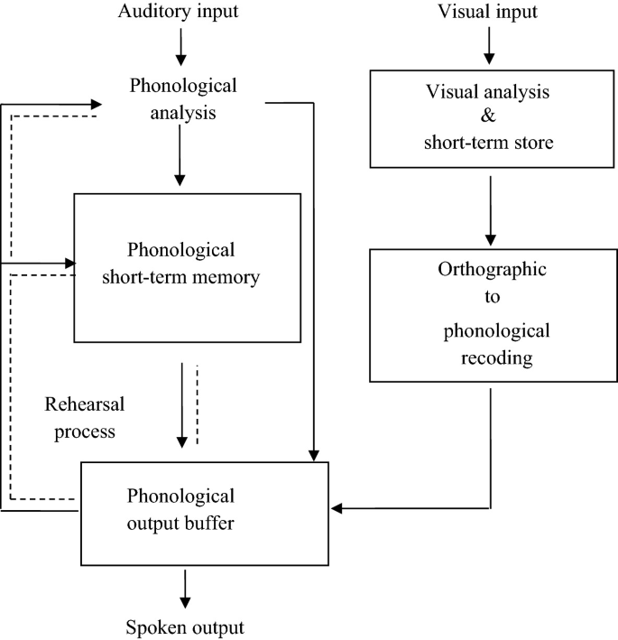 Sensory Memory, Working Memory, and Long-Term Memory | SpringerLink