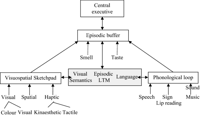 Sensory Memory, Working Memory, and Long-Term Memory | SpringerLink