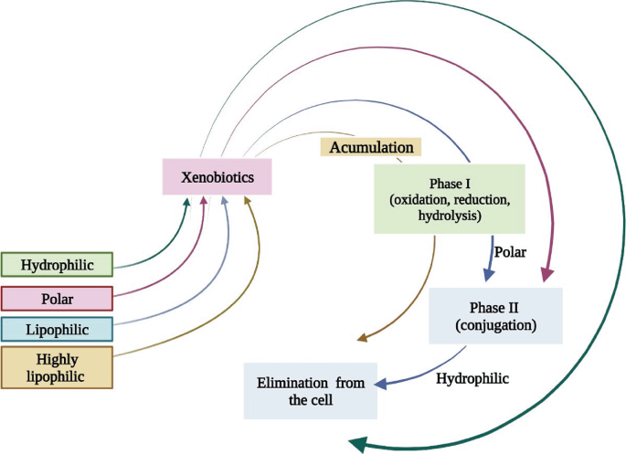 The Role of Microalgae as Bioindicators of Aquatic Contamination ...