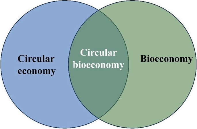 Circular Bioeconomy Transition-Based Studies in Biorefineries of Microalgae Biomass | SpringerLink