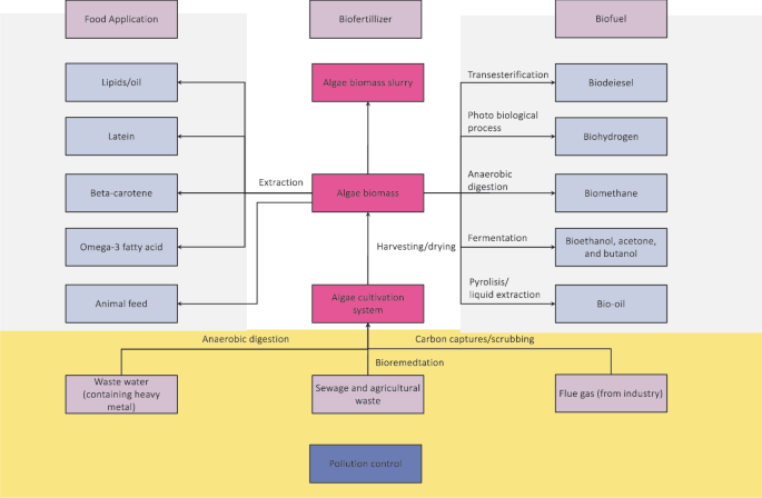 Circular Economy for Biodiesel Production by Managing Wastewater Using ...