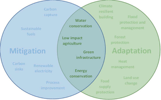 Algae as Nature-Based Solutions for Climate Change Adaptation ...