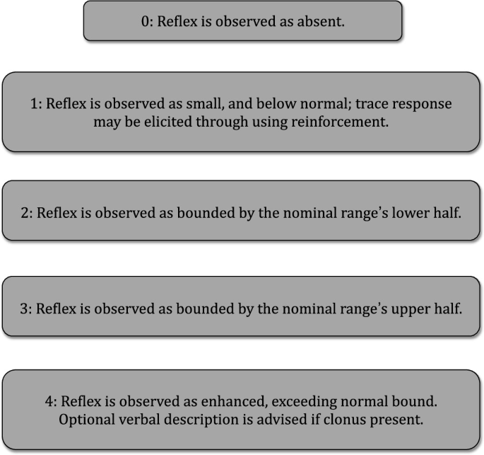 Traditional Clinical Evaluation of Gait and Reflex Response by Ordinal ...