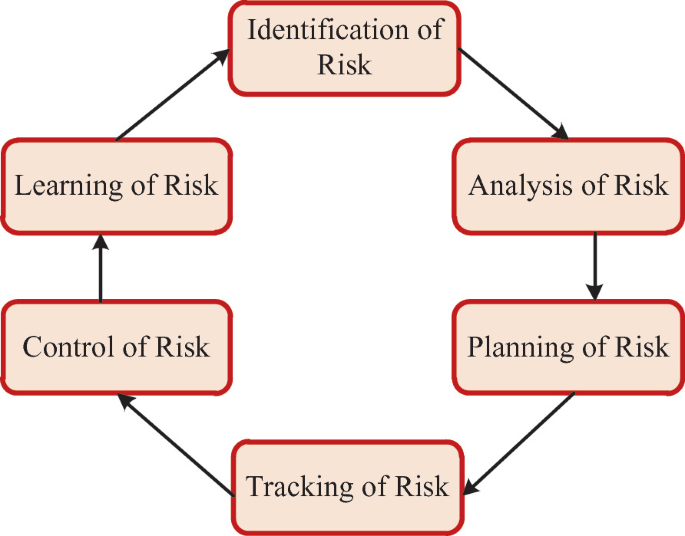 The Essence of Risk Management in Software Development: A Comparative ...
