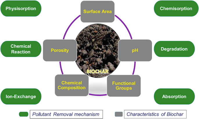 Biochar as a Filter Media for Air Pollution Control Systems | SpringerLink