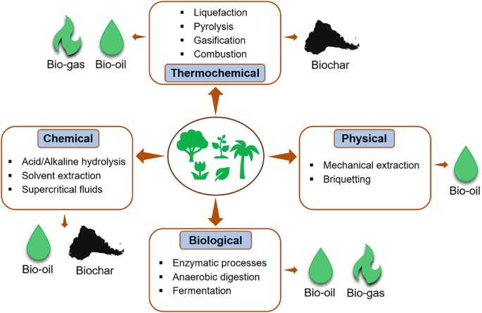 Valorisation of Agricultural Waste into a Low-Cost Adsorbent ...