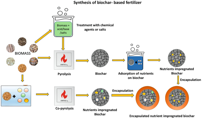 Biochar-Based Fertilizers: A Smart Solution for Sustainable Agriculture | SpringerLink