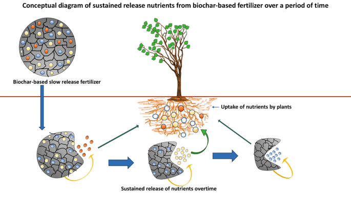 Biochar-Based Fertilizers: A Smart Solution for Sustainable Agriculture | SpringerLink