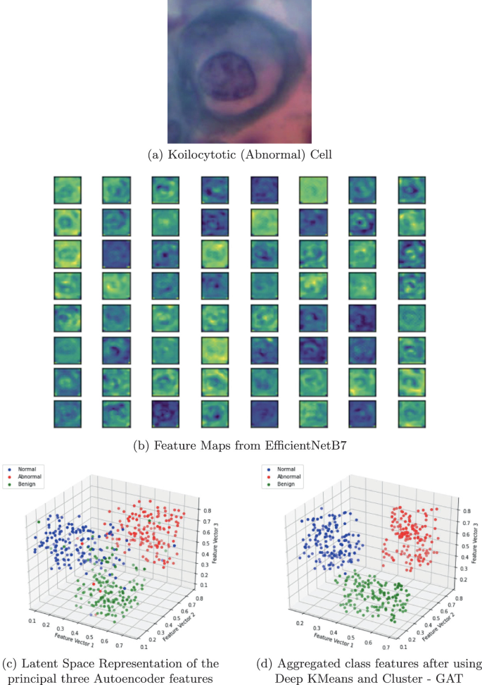 Cluster—GAT: Mixing Convolutional and Self-Attended Feature Maps Using Graph Attention Networks ...