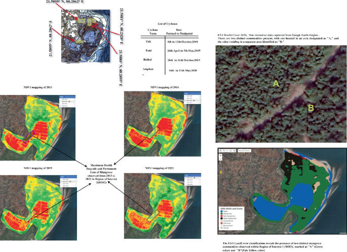 Gate-Based Fractal Analysis for Assessing Complexity and Persistence of Mangrove Communities in ...