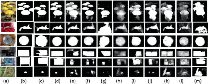 DeepFusion-Net: A U-Net and CGAN-Based Approach for Salient Object Detection | SpringerLink