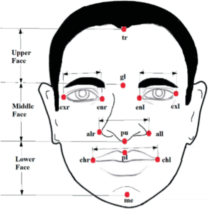 Autism Spectrum Disorder Detection Through Facial Analysis and Deep Learning: Leveraging Domain ...