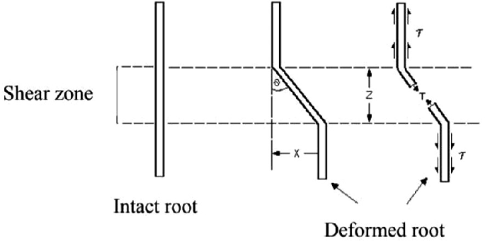 Modelling the Effects of Vegetation in Bioengineered Sloped Soils ...