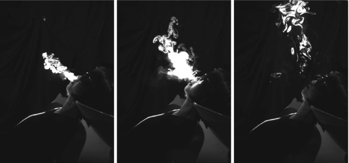 Experimental Understanding of the Flow Dynamics of Exhaled Air to ...