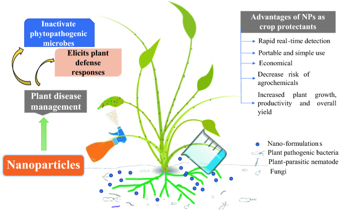 Novel Insights on Sustainable Nanoparticles in Crop Protection: Current ...