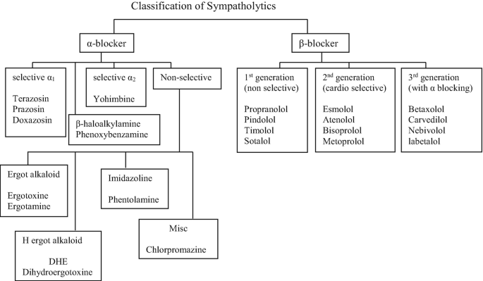 Drugs Acting on Autonomic Nervous System | SpringerLink