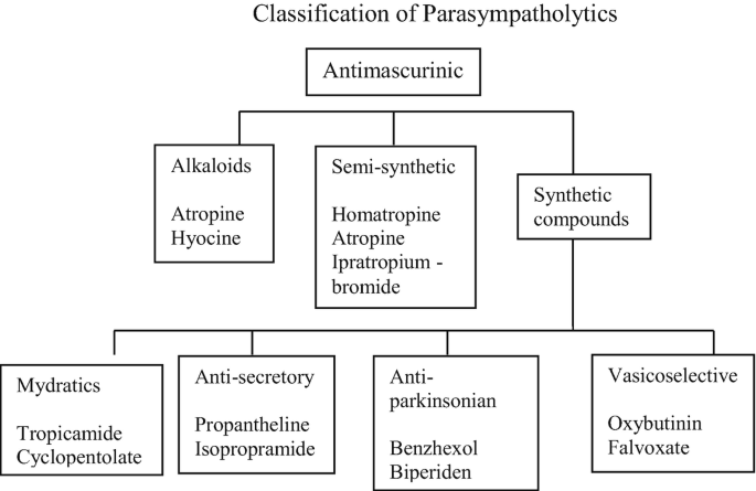 Drugs Acting on Autonomic Nervous System | SpringerLink