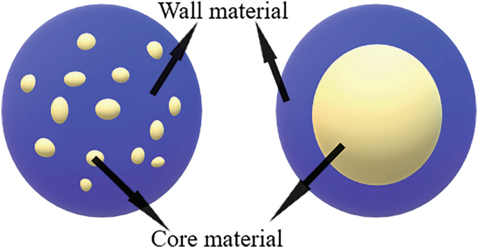 Novel Pharmaceutical Forms Including Biopolymer Encapsulated Antiviral ...