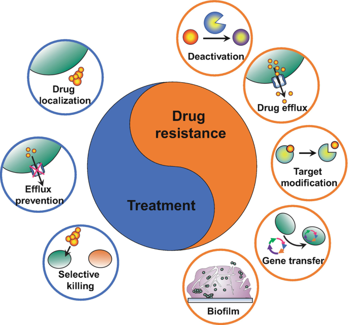 Polymer-Based Nanotechnology to Combat the Emergence of Drug Resistance ...
