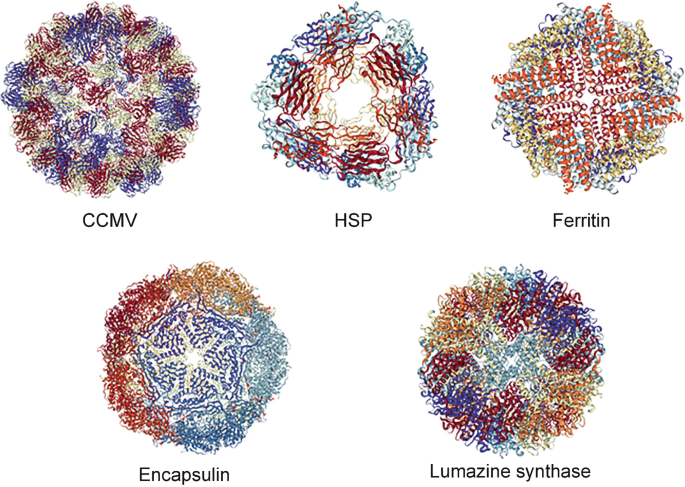 Microbial Compartments and Their Biomedical Applications | SpringerLink