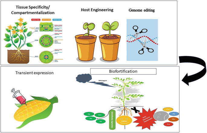 Methods from the Field of Synthetic Biology that Aim to Improve Plant ...