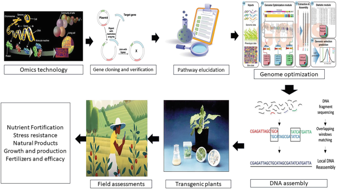 Methods from the Field of Synthetic Biology that Aim to Improve Plant ...