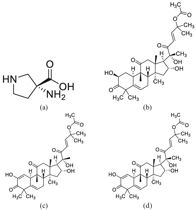 Pumpkin Seed in Cancer Prevention: Description, Chemistry and Mode of ...