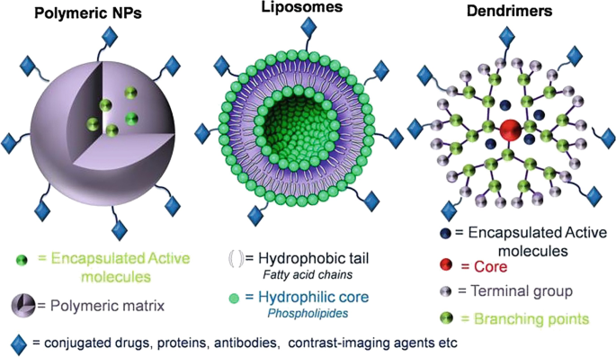 Nanotheranostics: Clinical Status, Toxicity, Regulatory Consideration ...