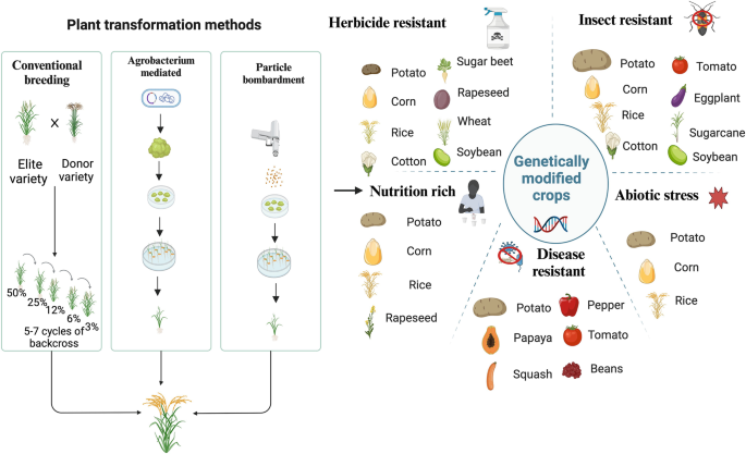 Pros and Cons of Plant Genetic Engineering Technologies | SpringerLink