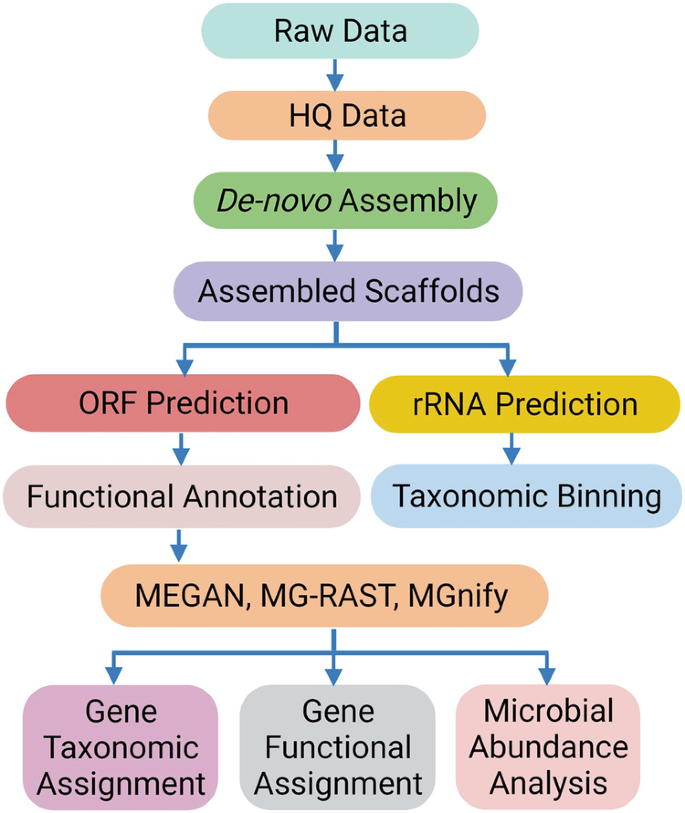Metagenomics in Aquatic Ecosystem Health Surveillance | SpringerLink