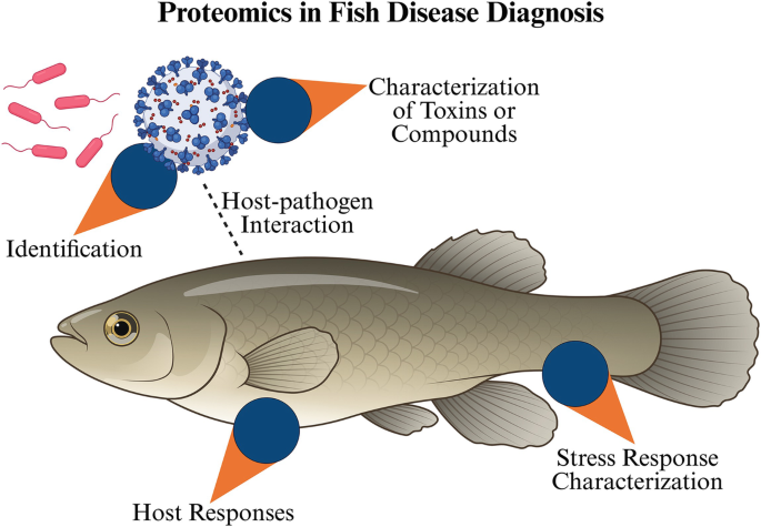 Proteomics in Fisheries and Aquaculture | SpringerLink