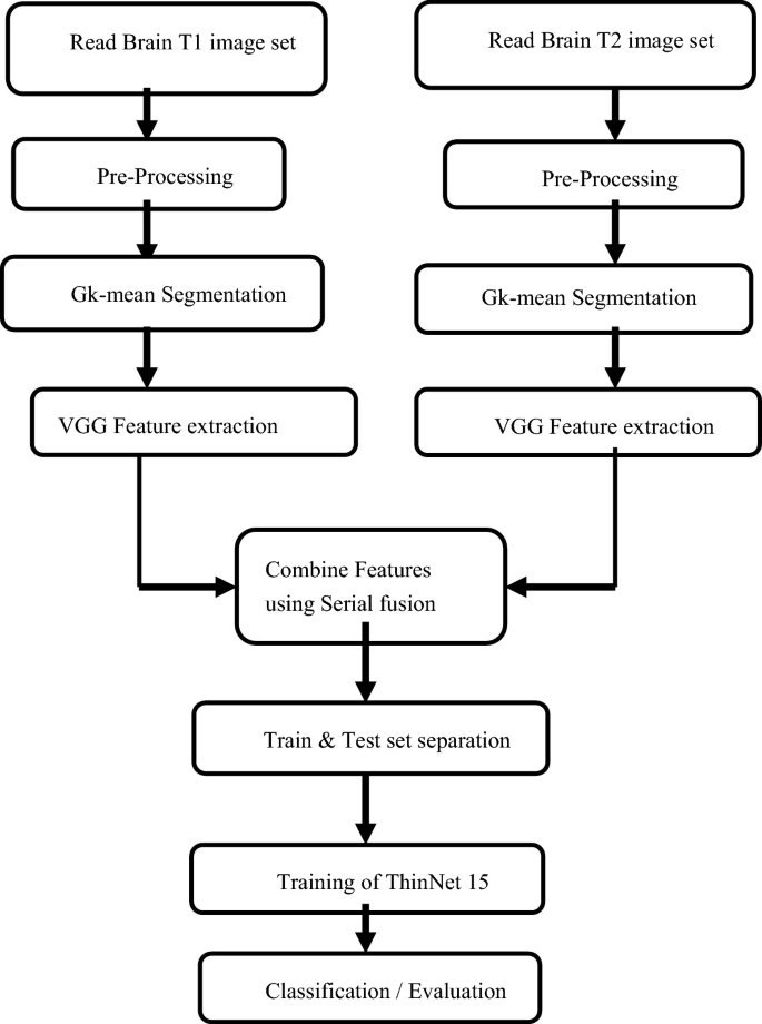 Brain Tumor Detection by Fusion Techniques | SpringerLink