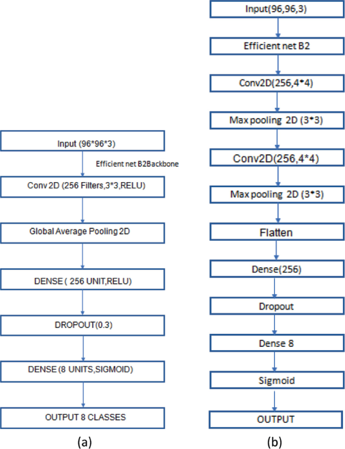 A CNN Model Based Approach for Disease Detection in Mango Plant Leaves | SpringerLink